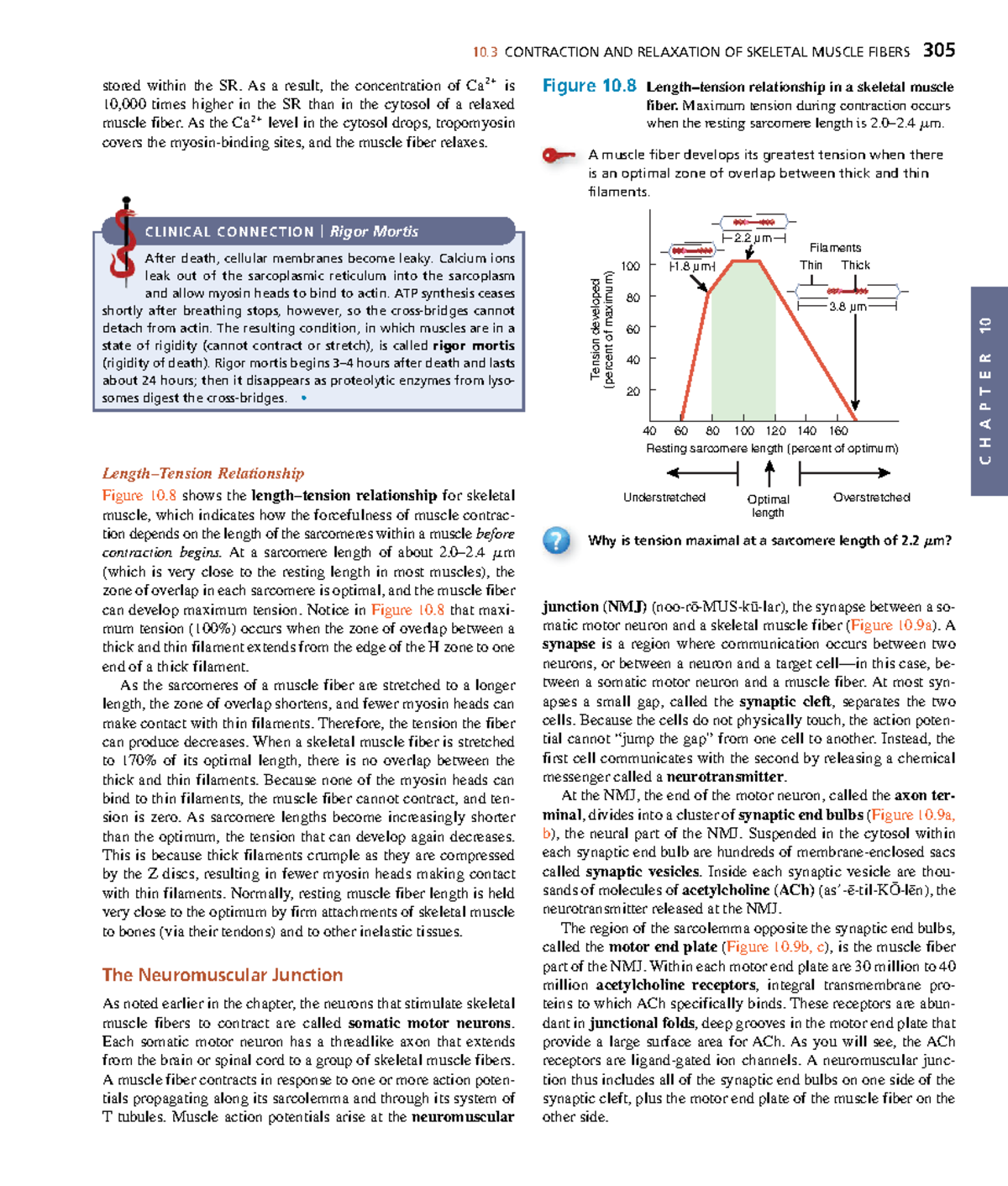 Anatomyand Physiology-113 - C H A P T E R 10 10 CONTRACTION AND ...