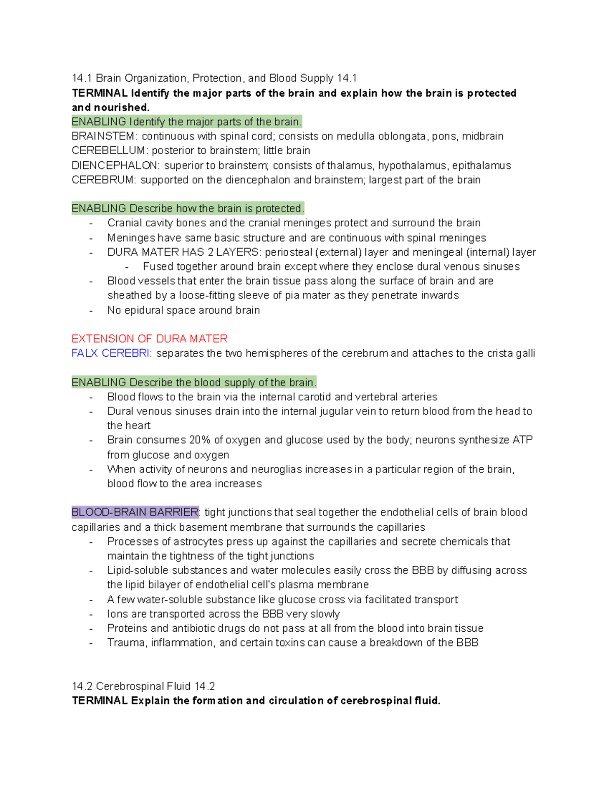 BIOL 1191 - CHAP 14 THE Brain - 14 Brain Organization, Protection, and ...