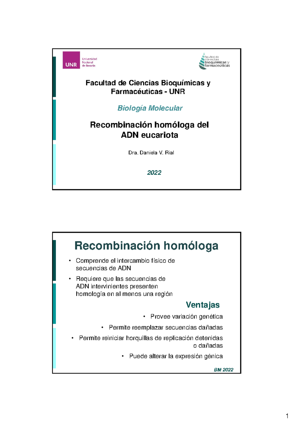 Recombinación Homóloga - Recombinación homóloga del ADN eucariota ...