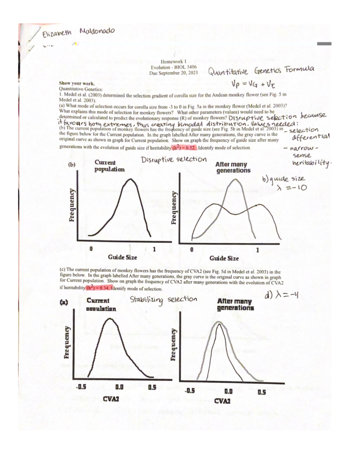 BIOL-Evolution Homework 1 - BIOL 3406 - Studocu