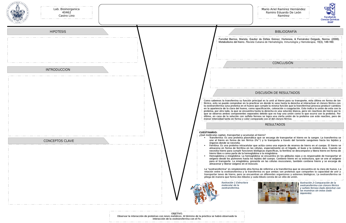 reporte de biologia - BIBLIOGRAFÍA DISCUSIÒN DE RESULTADOS RESULTADOS ...