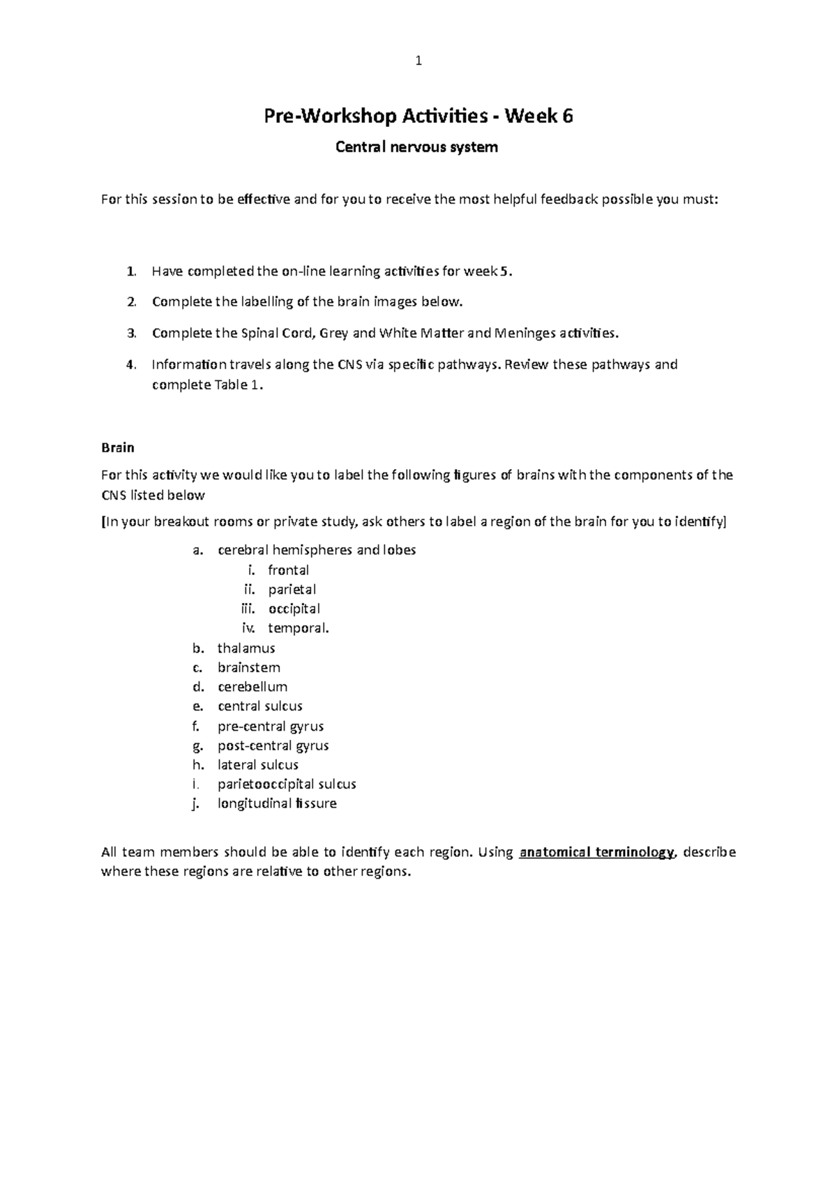 HBS1HBB Pre-Workshop Activities 6 2020 - Pre-Workshop Activities - Week ...