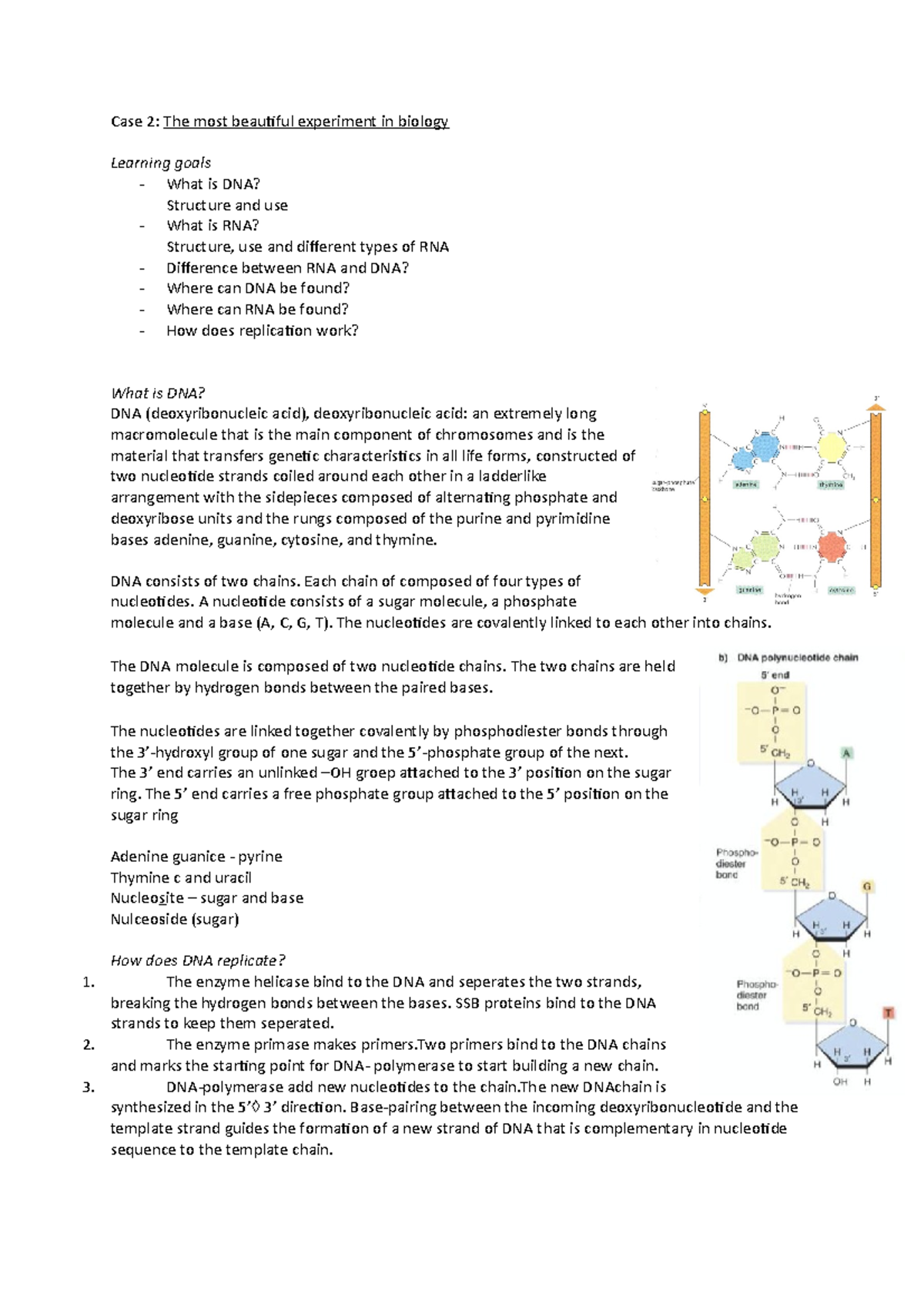 CASE 2 - the most beautiful experiment - Case 2: The most beautiful ...