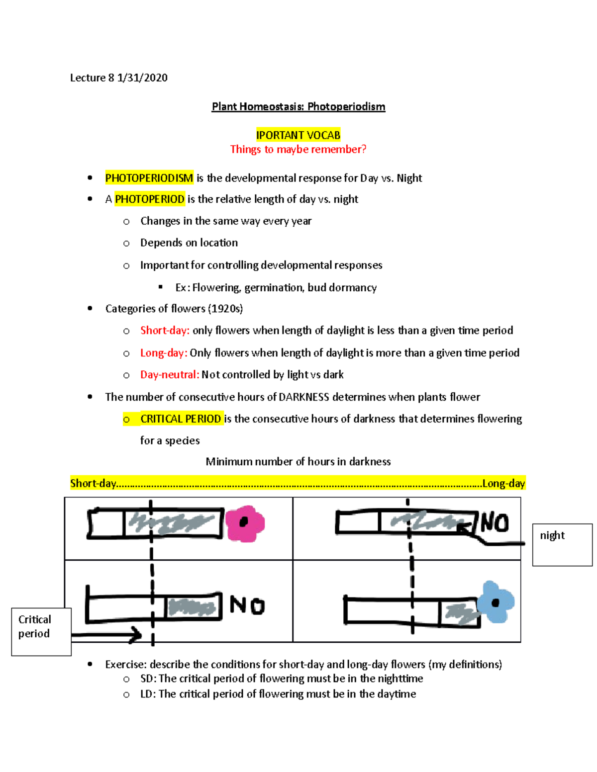 Lecture 8 bio - homeostsis: photoperiodism - Lecture 8 1/31/ Plant ...