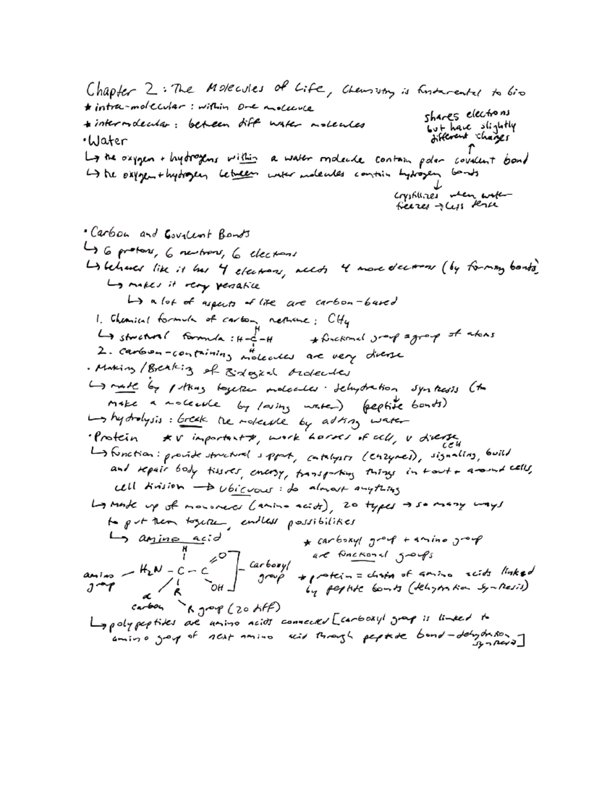 Foundations of Biology Chapter Two Notes - BIOL 1107 - Studocu