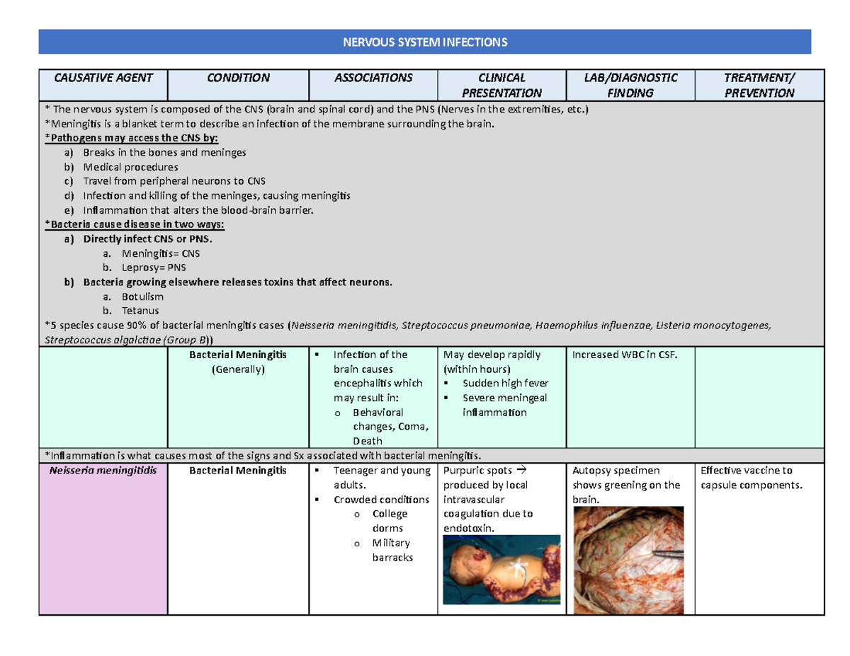 Nervous System Infections - CAUSATIVE AGENT CONDITION ASSOCIATIONS ...