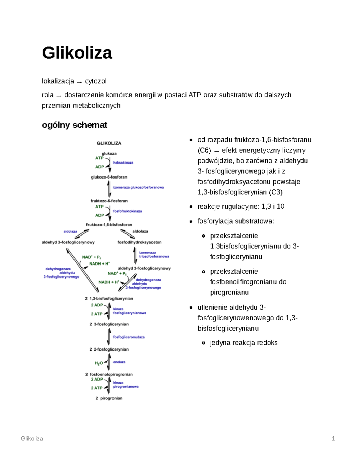 Glikoliza - Notatki z biochemii o wszystkich reakcjach glikolizy ...