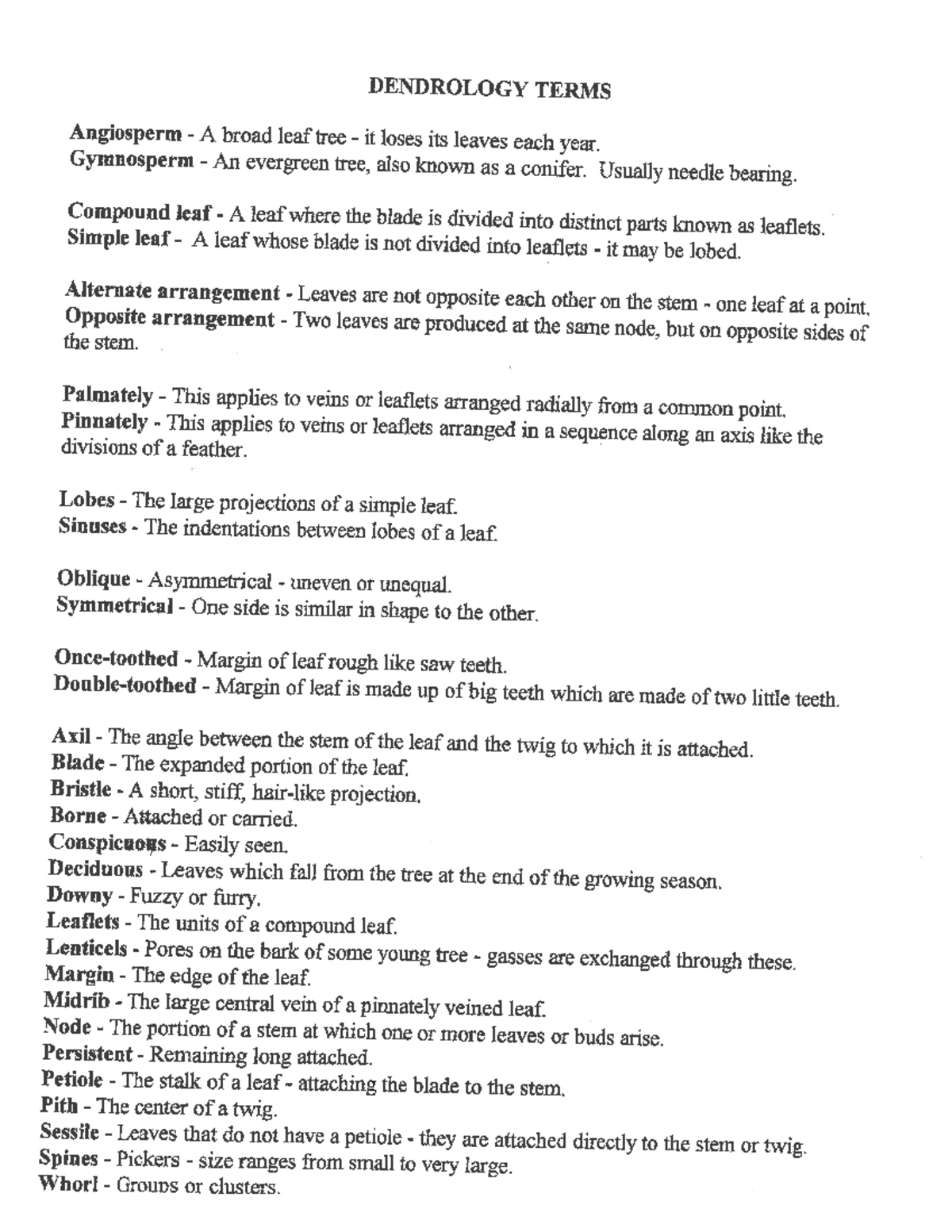 Dendrology terms - Studocu