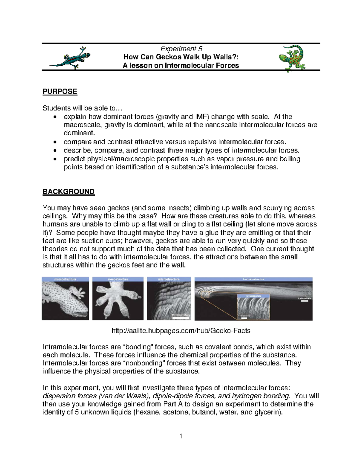 Experiment 5 - How do Geckos walk up walls-SP19 - Experiment 5 How Can ...