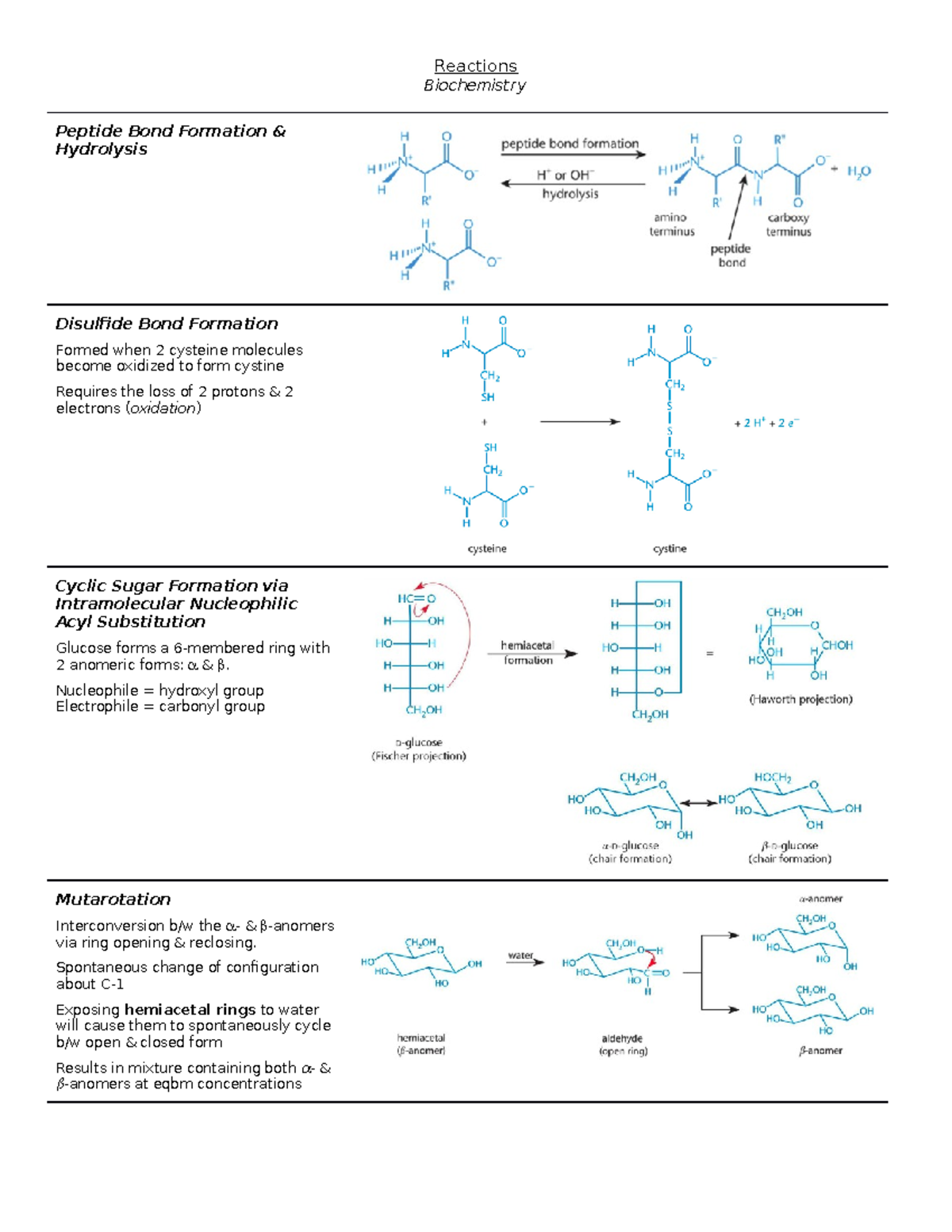 Reactions of biochem - Reactions Biochemistry Peptide Bond Formation ...