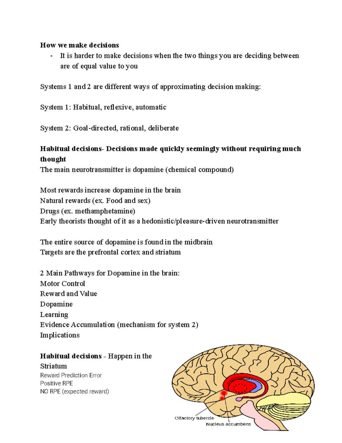 Mind and Brain Lecture 3 How we make decisions - How we make decisions ...