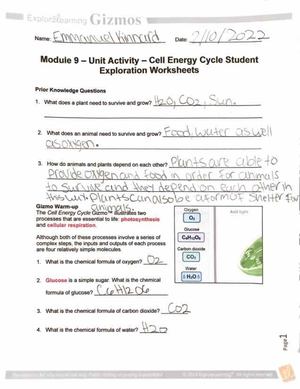 Gizmos Forest Ecosystem Student Handout - Name: David Morgan Date: 12 ...