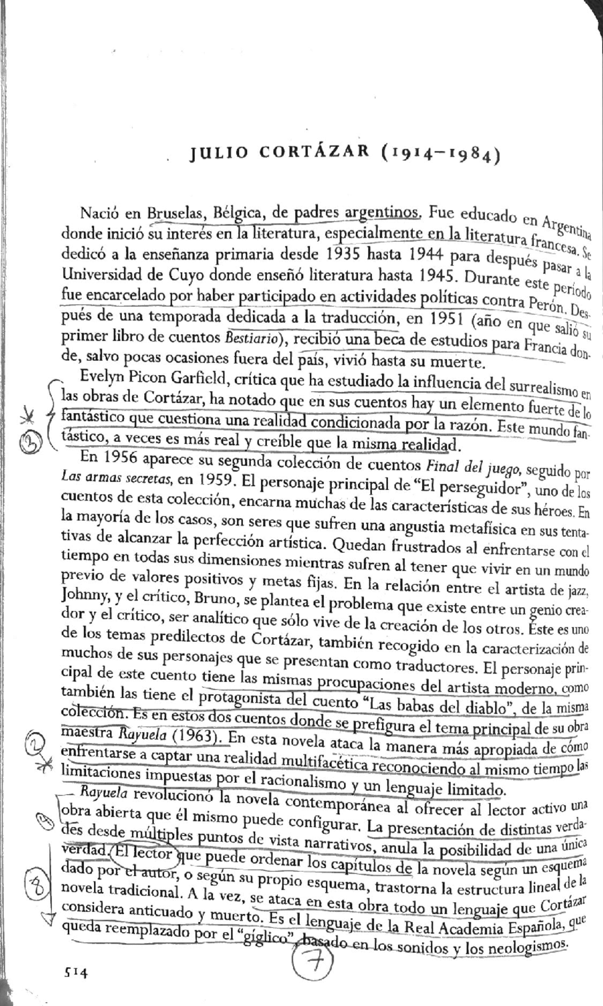 Julio Cortázar - Reading - SPAN 4110 - Studocu