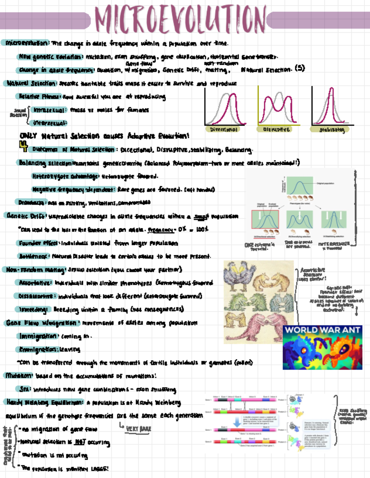 Microevolution - Catherine McEntee Bio 1001 Class chapter summary ...