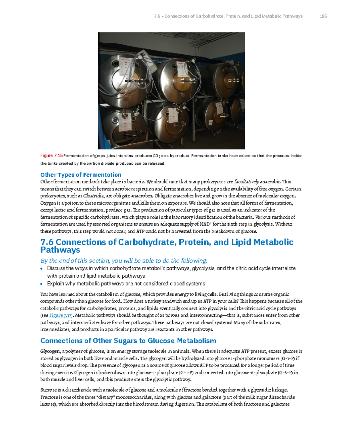 Chapter 7 Cellular Respiration Part 8 - Figure 7 Fermentation of grape ...