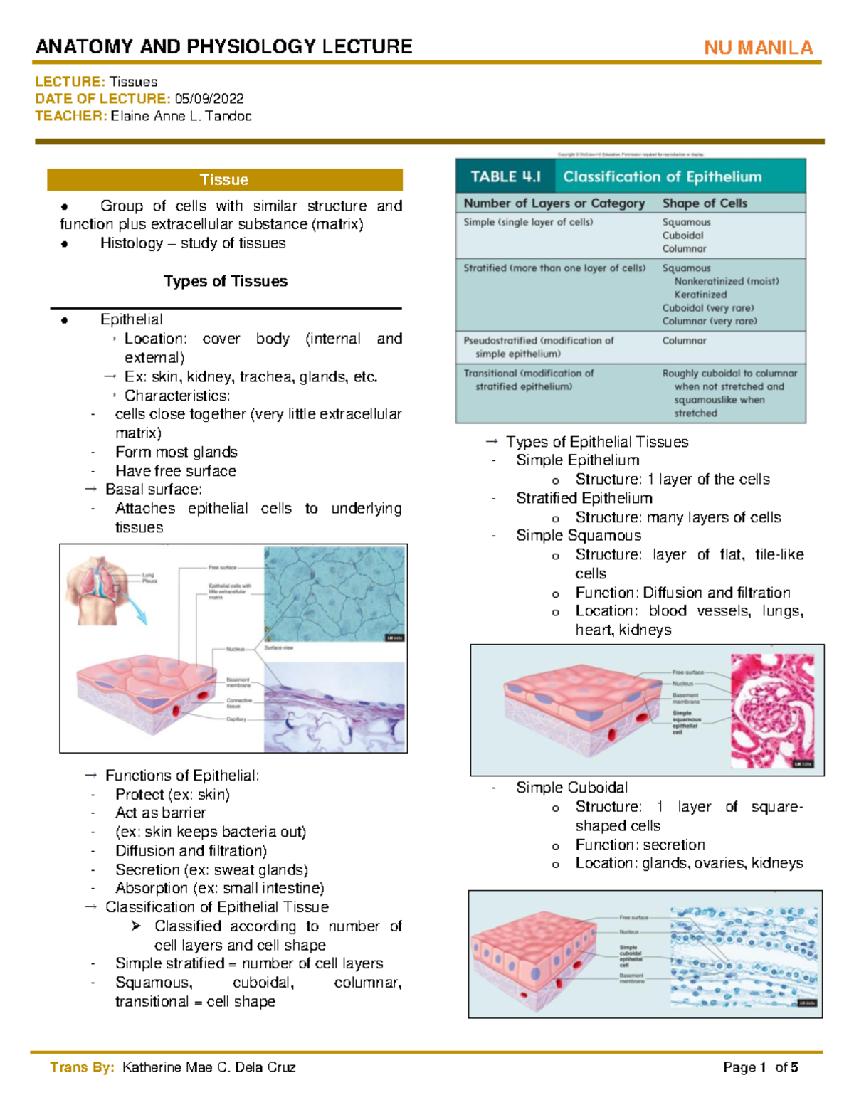 Anatomy and Physiology - LECTURE: Tissues DATE OF LECTURE: 05/09 ...