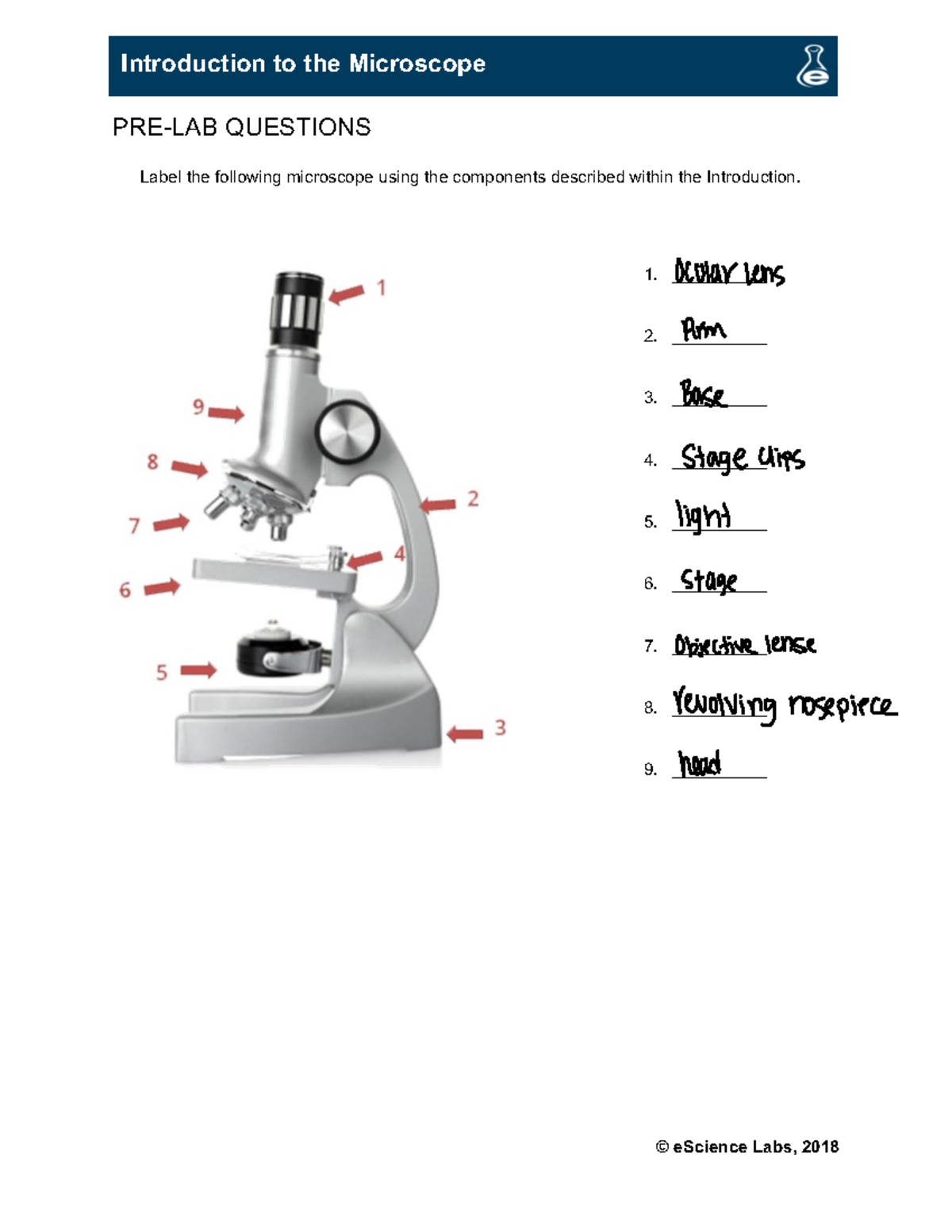 Lab 13 - Lab experiment - BIO 181 - ASU - Studocu