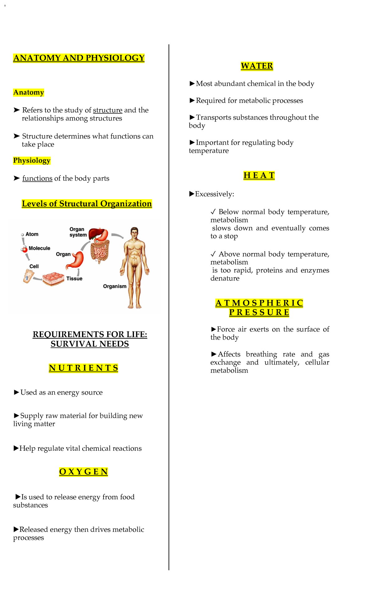 Introduction to Anatomy and Levels of Structural Organization - ANATOMY ...