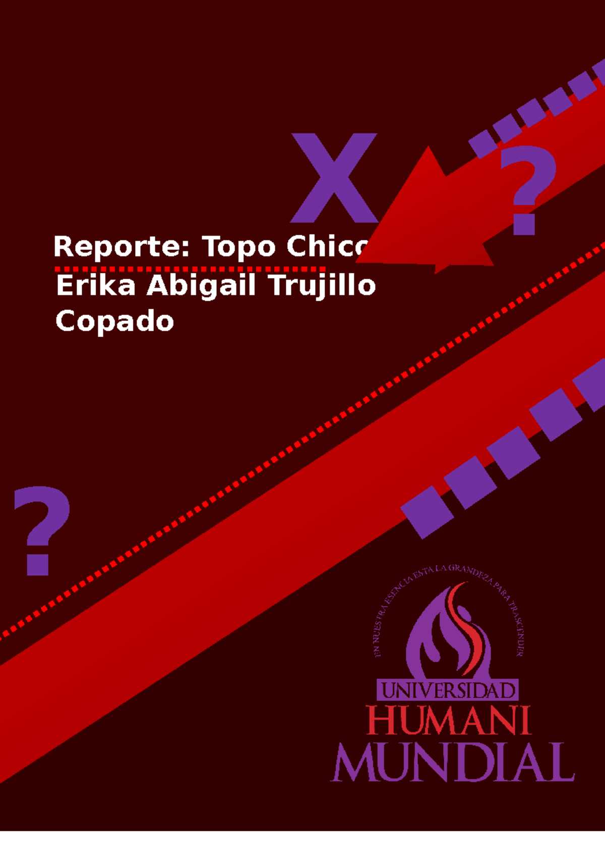 Tarea Topo Chico - ? Reporte: Topo Chico X Erika Abigail Trujillo Copado ? Contenido - Studocu