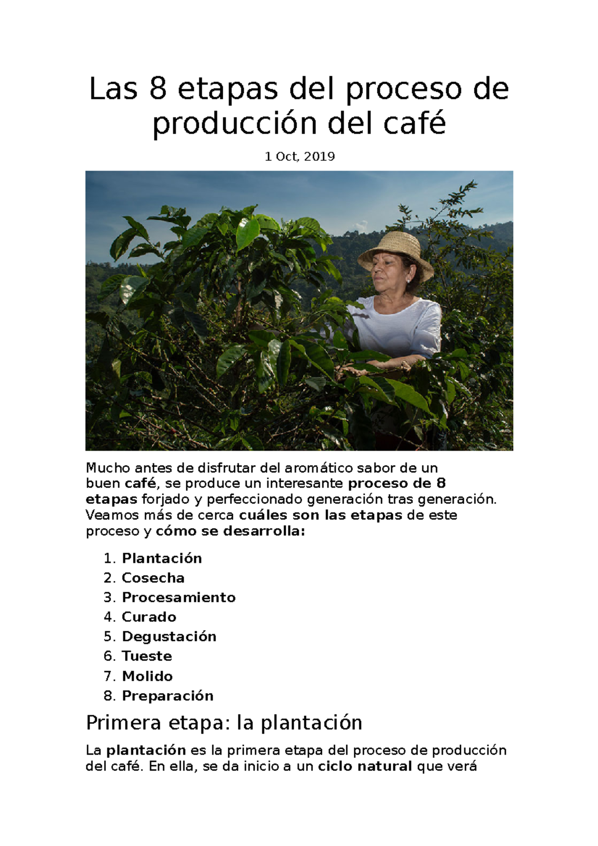 Las 8 etapas del proceso de producción del café - Veamos más de cerca ...