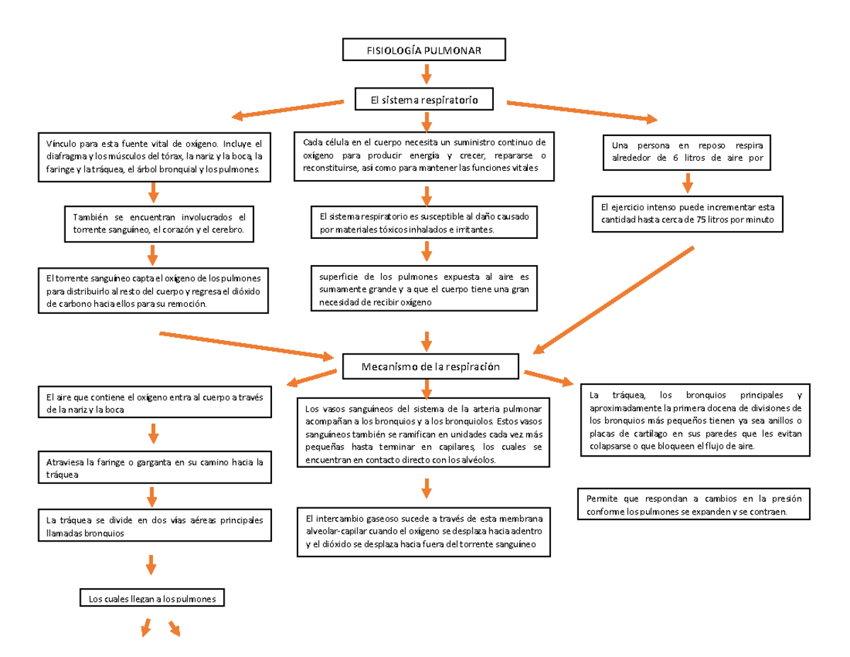 Fisiologia Pulmonar - Fisiología - Warning: TT: undefined function: 32 FISIOLOGÍA PULMONAR El ...