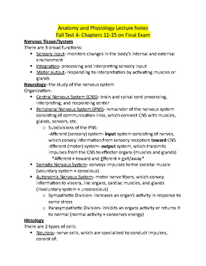 Muscular system - Lecture notes - MUSCULAR SYSTEM MUSCLE TYPES: Three ...