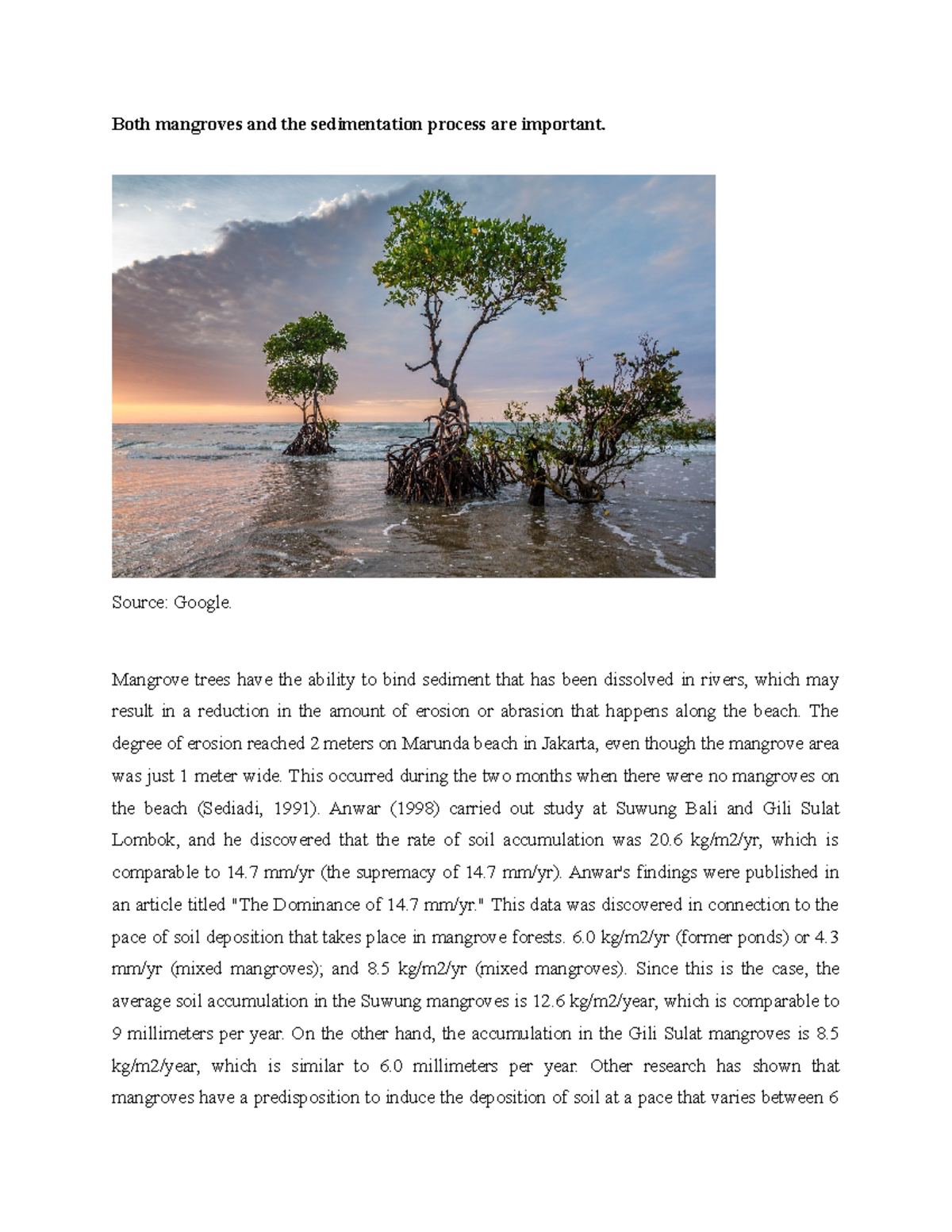 Assignment of Mangrove - Both mangroves and the sedimentation process ...