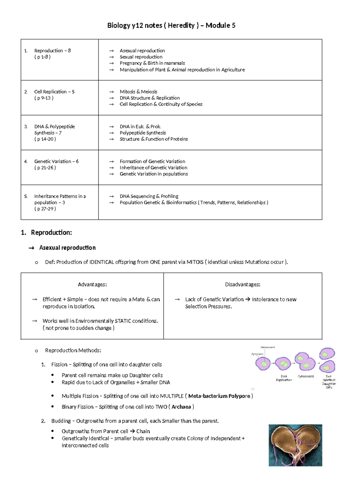 Biology y12 notes ( Heredity ) - Module 5 - Biology y12 notes ...