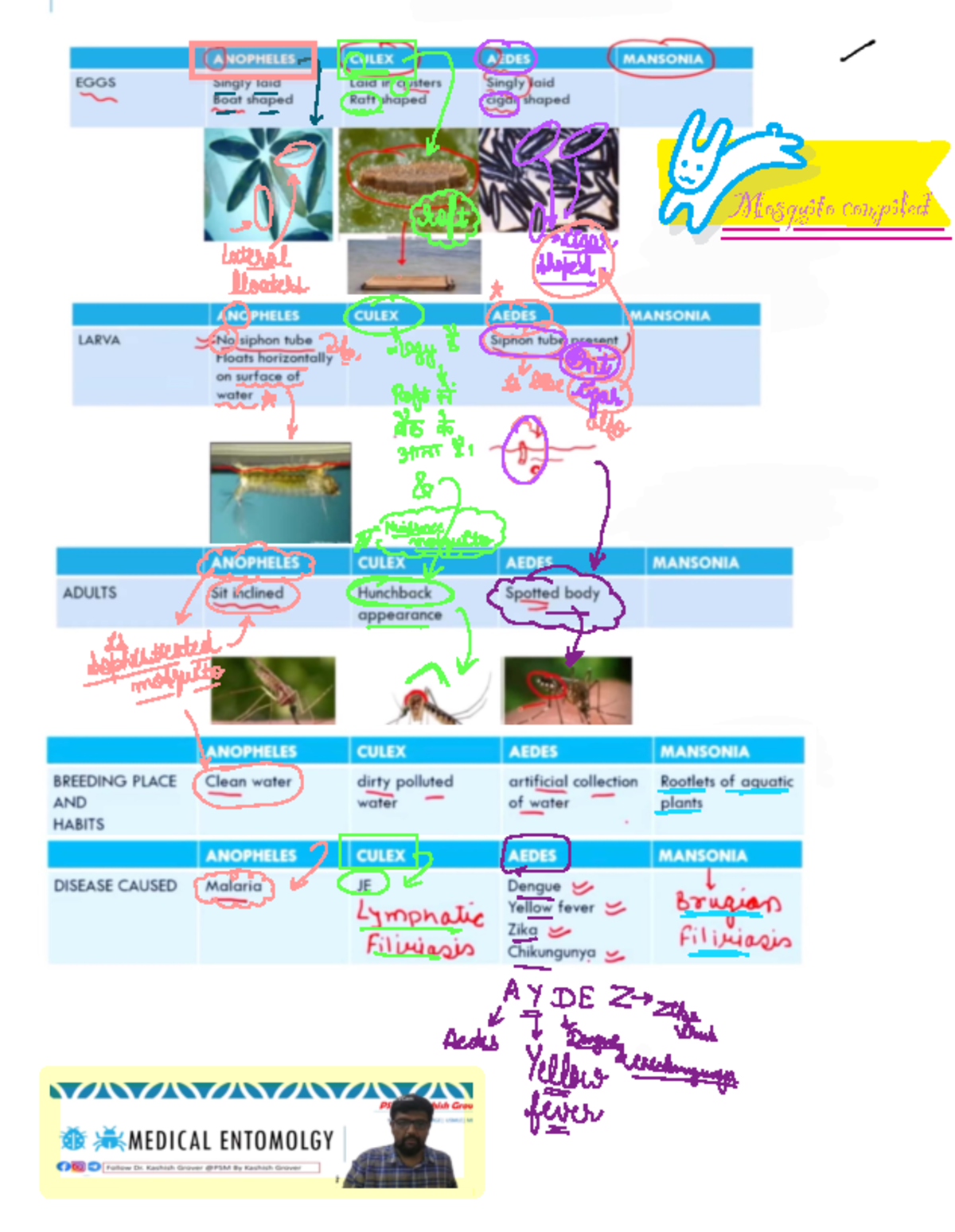 Kashish Sir entomology compiled - mba 201 - Mosquito compiled O ####### == 7 2 07 O O e O= - O ...