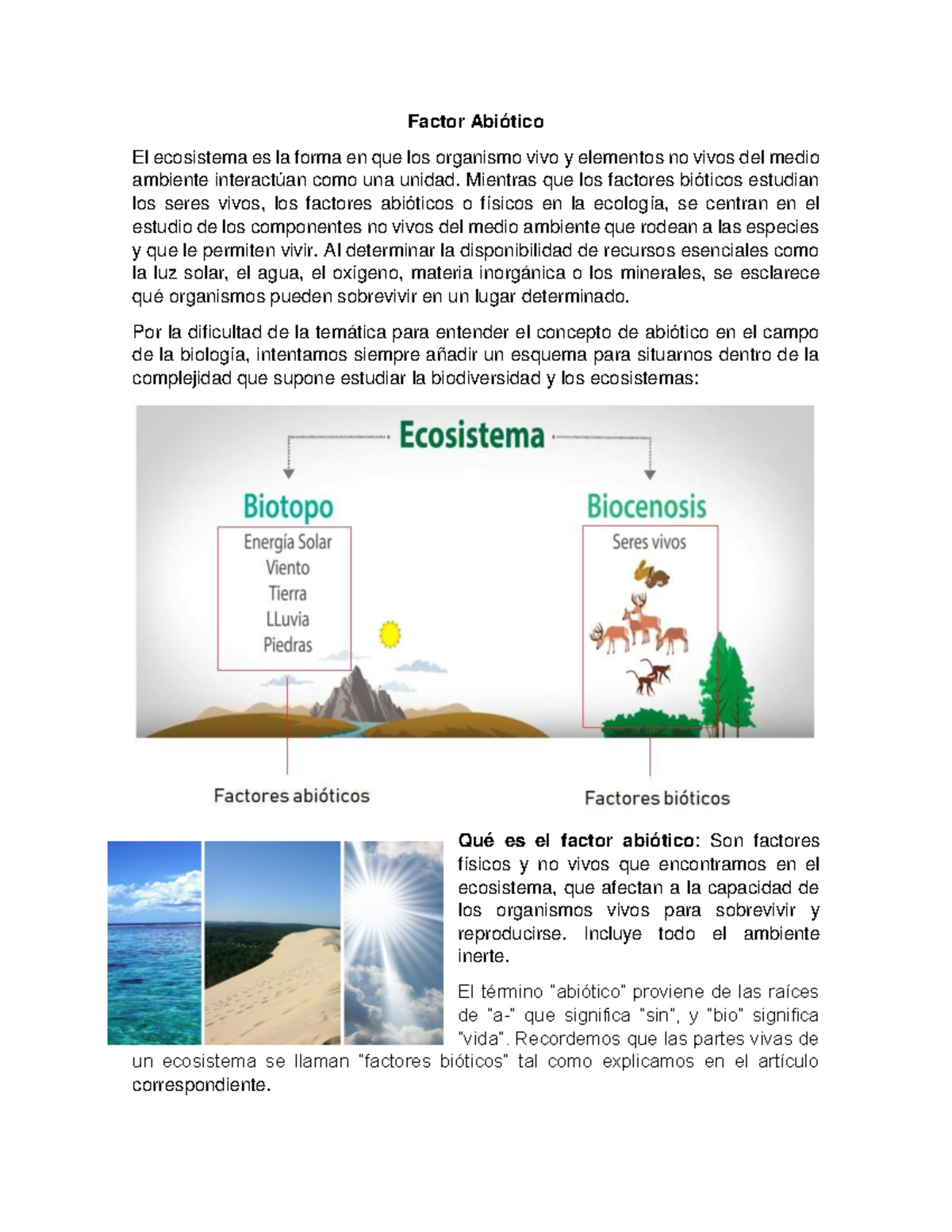 Factor Abiótico - Resumen La Materia del Arte: TECNICAS Y MEDIOS ...