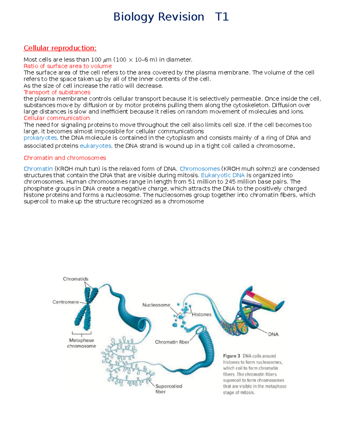 Cellular reproduction - Cellular reproduction: Most cells are less than ...