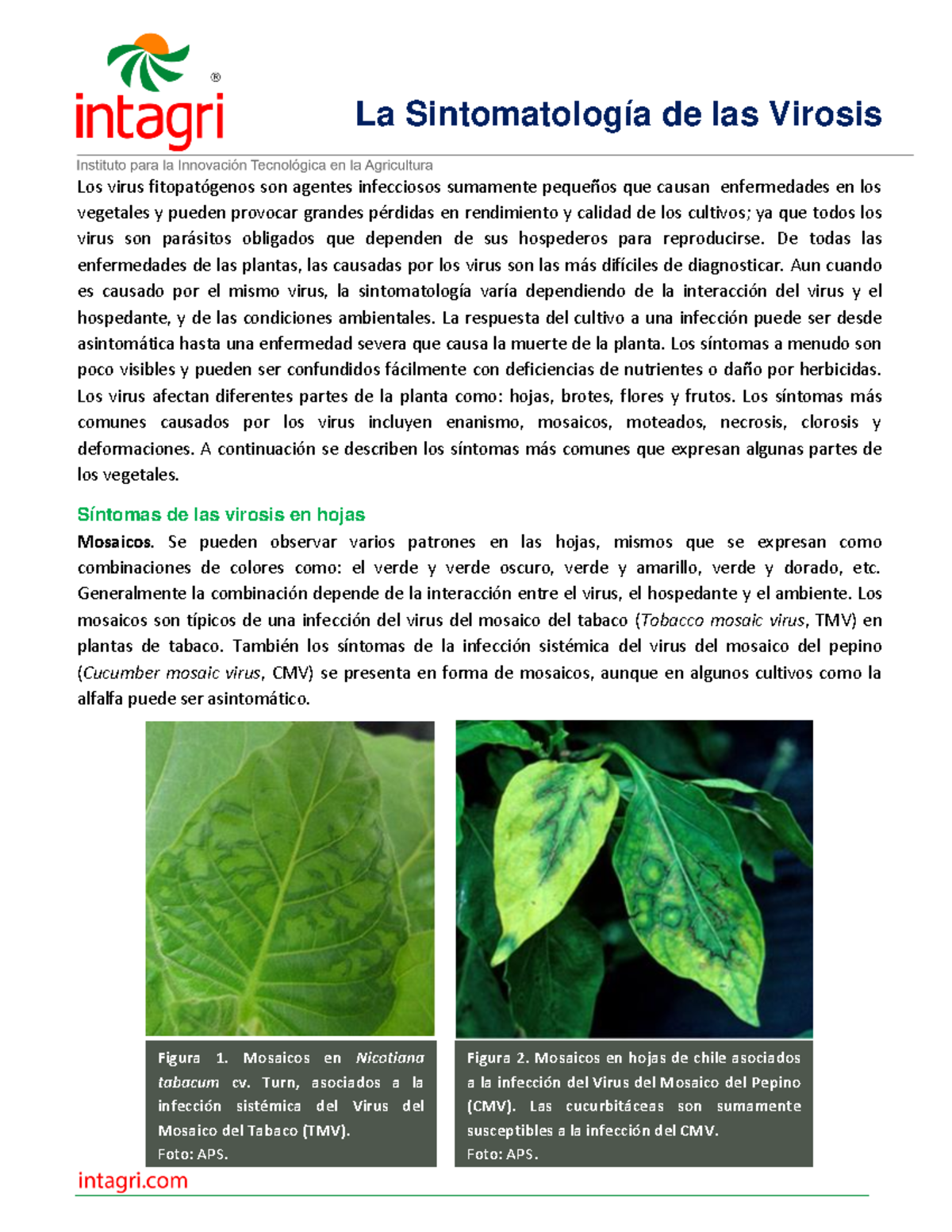 63. La Sintomatologia de las Virosis - La Sintomatología de las Virosis ...