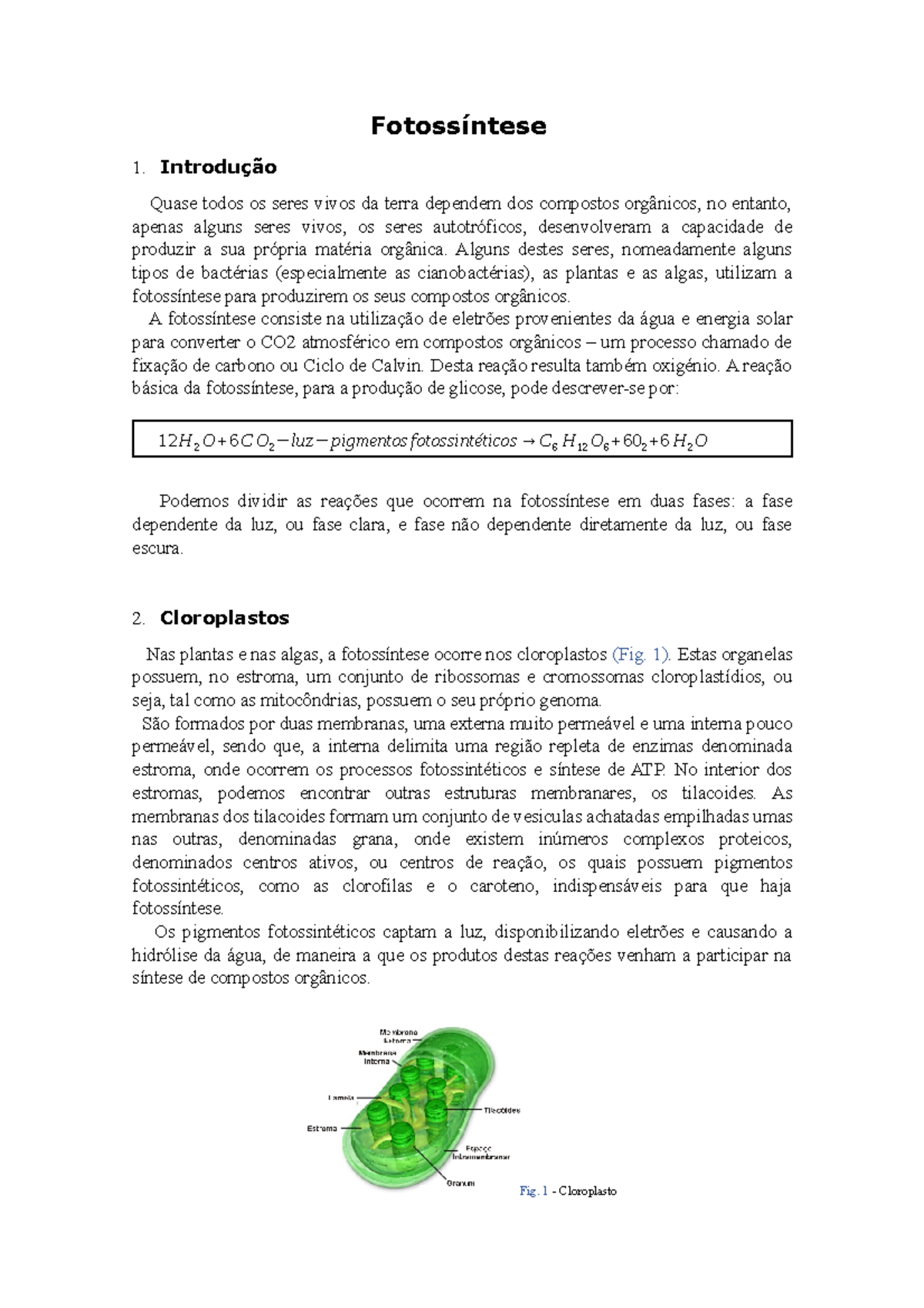 Fotossíntese, resumo - Fotossíntese Introdução Quase todos os seres ...