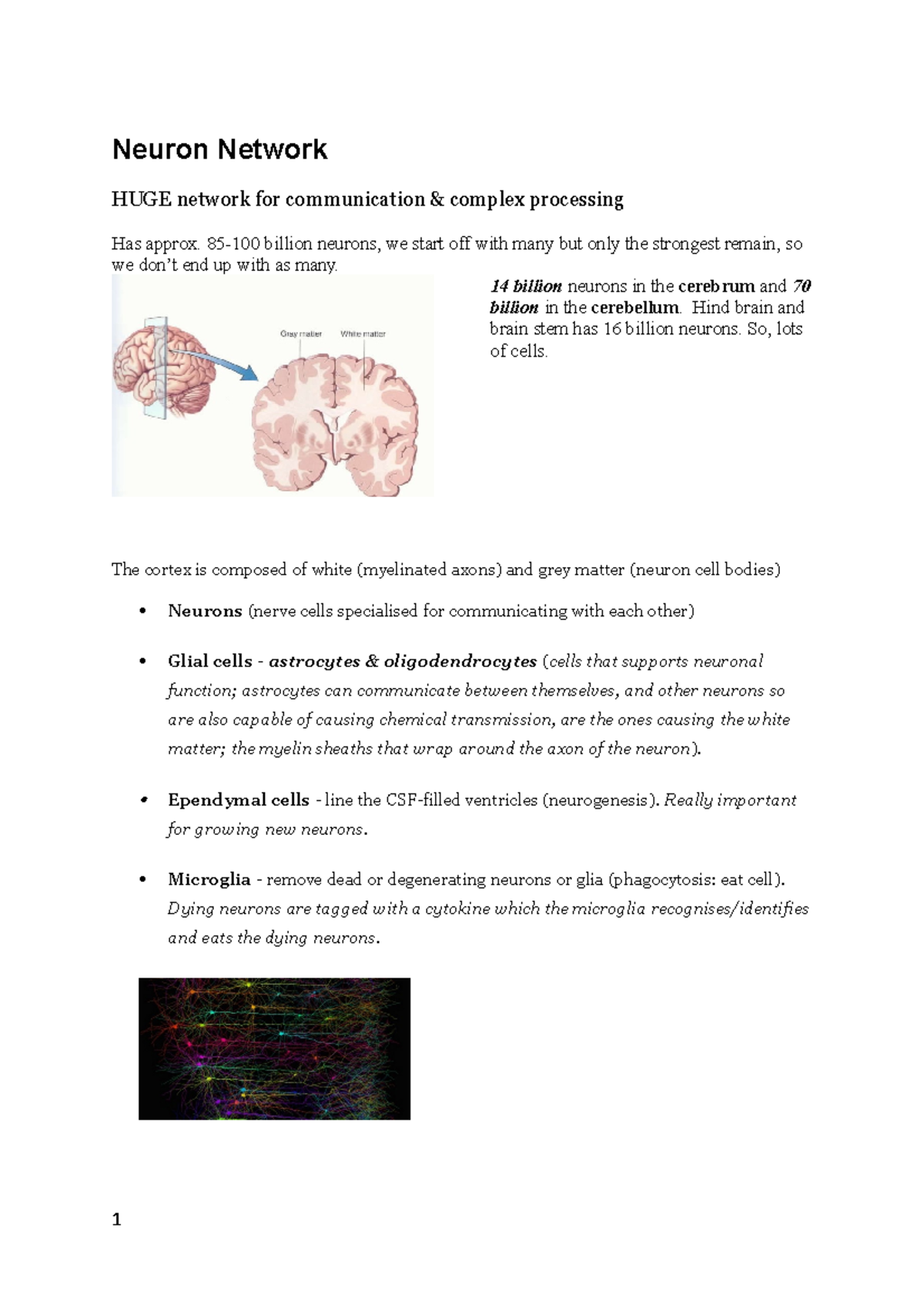 Neuron Network - Neuron Network HUGE network for communication ...