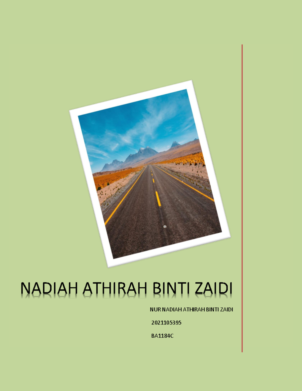 CSC134 LAB Assignment- Nadiah Athirah - NUR NADIAH ATHIRAH BINTI ZAIDI ...