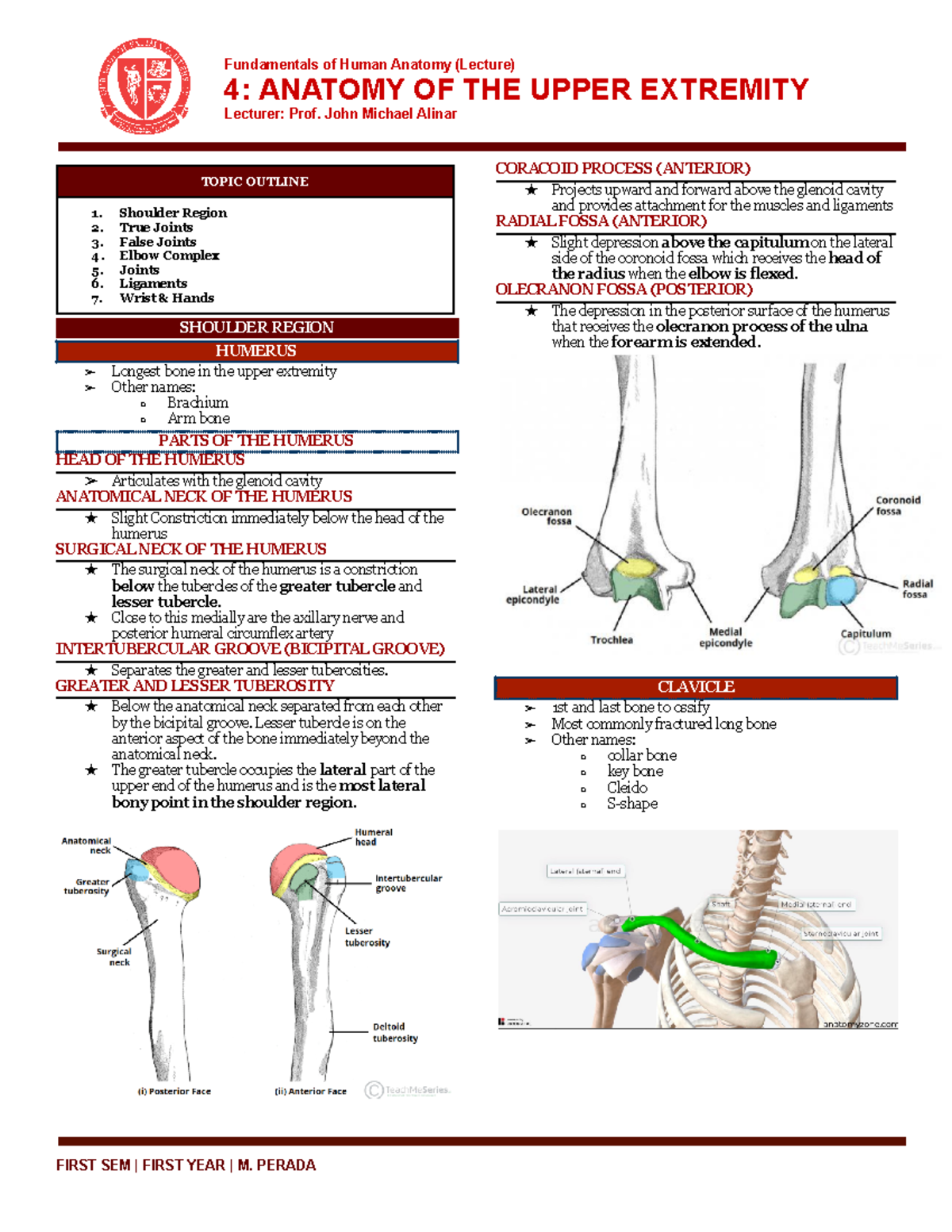 3 Upper Extremity - FOHA - Fundamentals of Human Anatomy (Lecture) 4: ANATOMY OF THE UPPER ...
