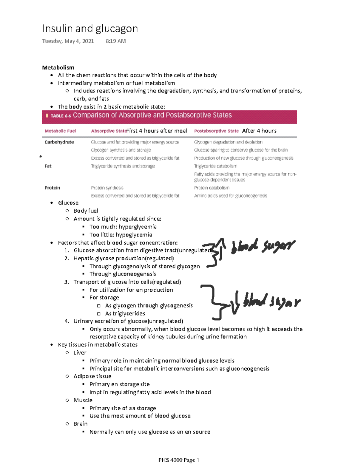 Insulin and glucagon - Lecture notes 1 - Metabolism - All the chem ...