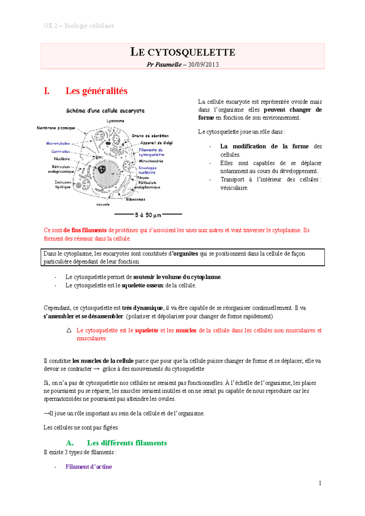 Le cytosquelette - UE 2 Biologie cellulaire - UE 2 – Biologie ...