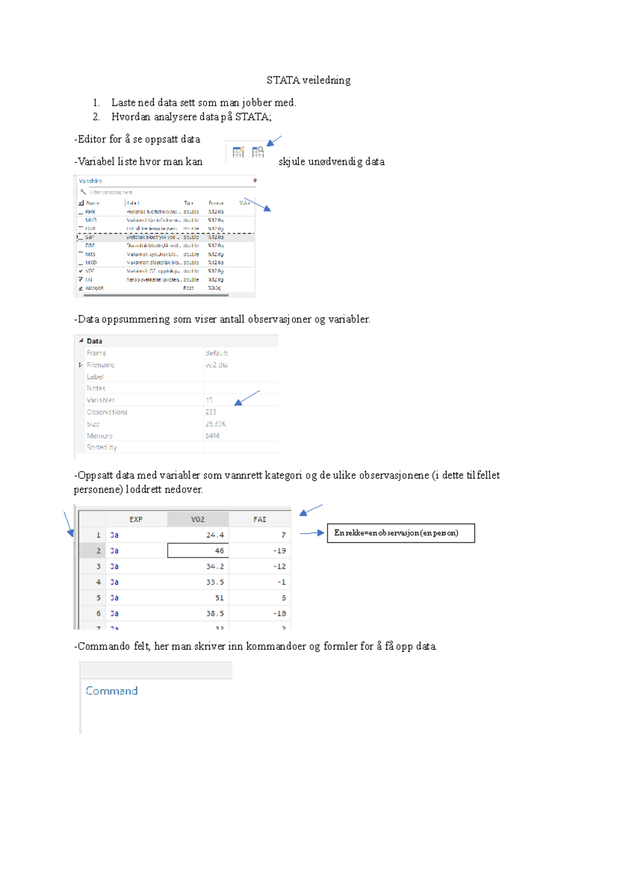 Stata veiledning og oppgaver - STATA veiledning Laste ned data sett som man jobber med. Hvordan ...