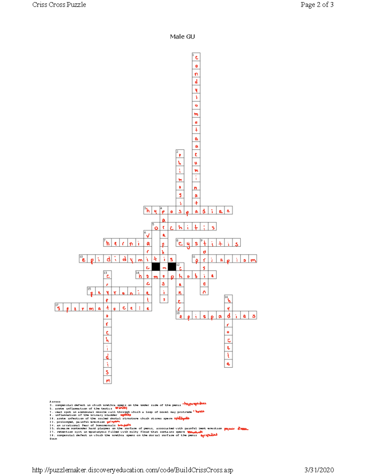 Male GUcrisscross - Male reproductive system - Male GU Across ...