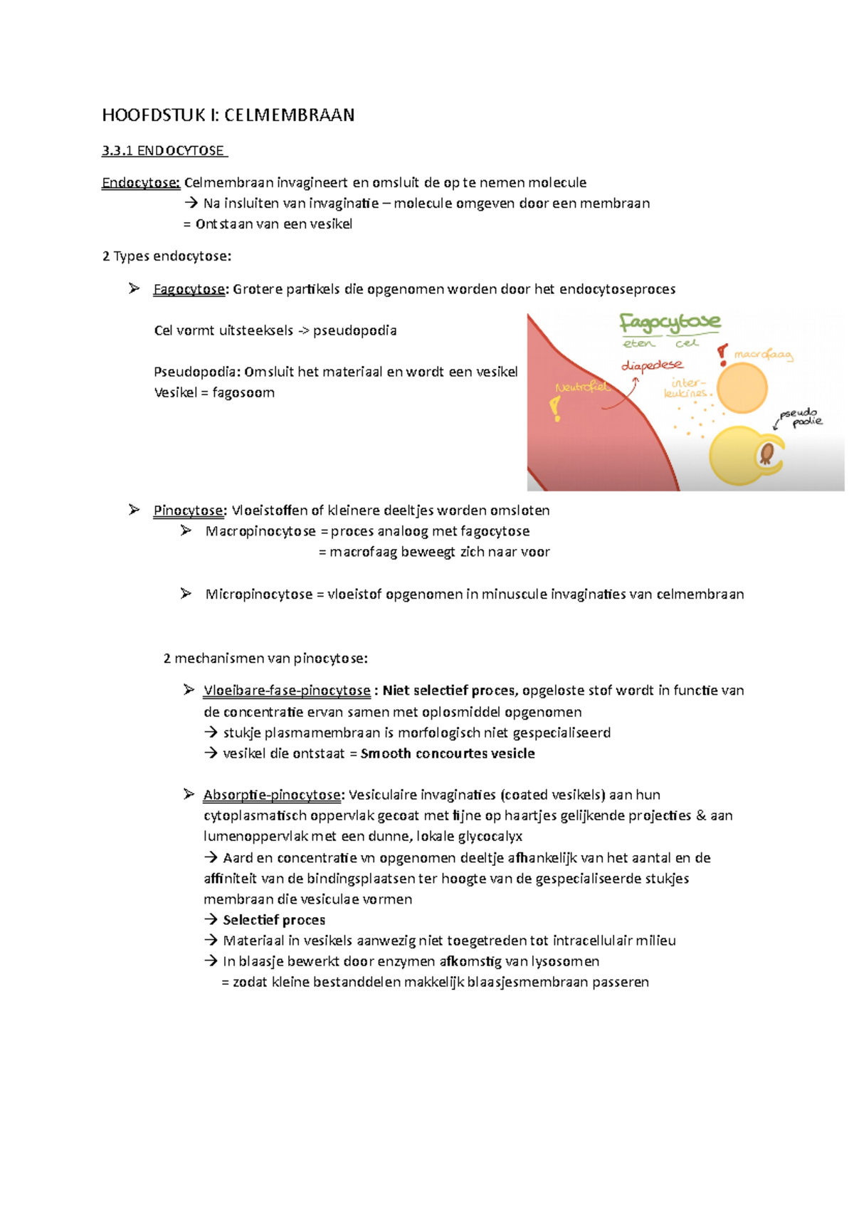 Hoofdstuk I & II Celmembraan + lesnotities - Cytologie en histologie ... Hoofdstuk I & II Celmembraan + lesnotities - Cytologie en histologie ...