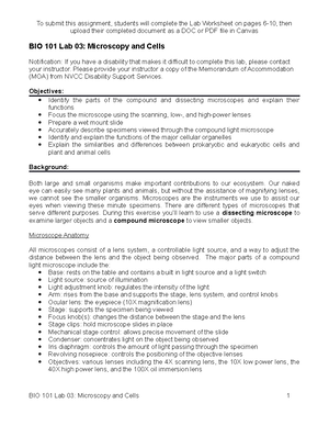 BIO 101 Lab 06, Enzymes - upload their completed document as a DOC or ...