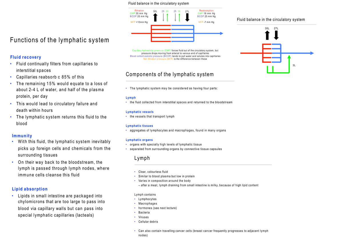 Lymphatic system 9 - BMD113 - Studocu
