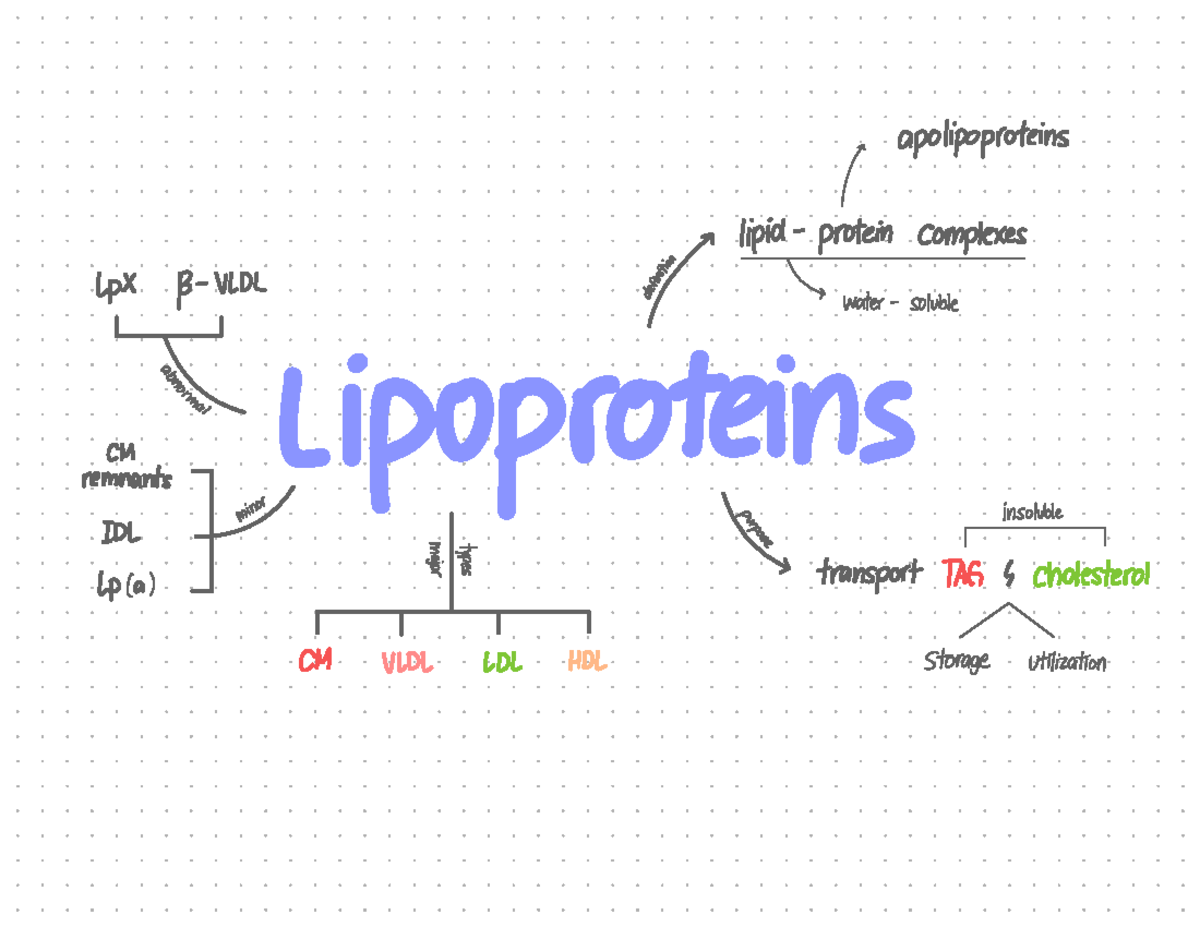 Lipoproteins - medical tech - Studocu