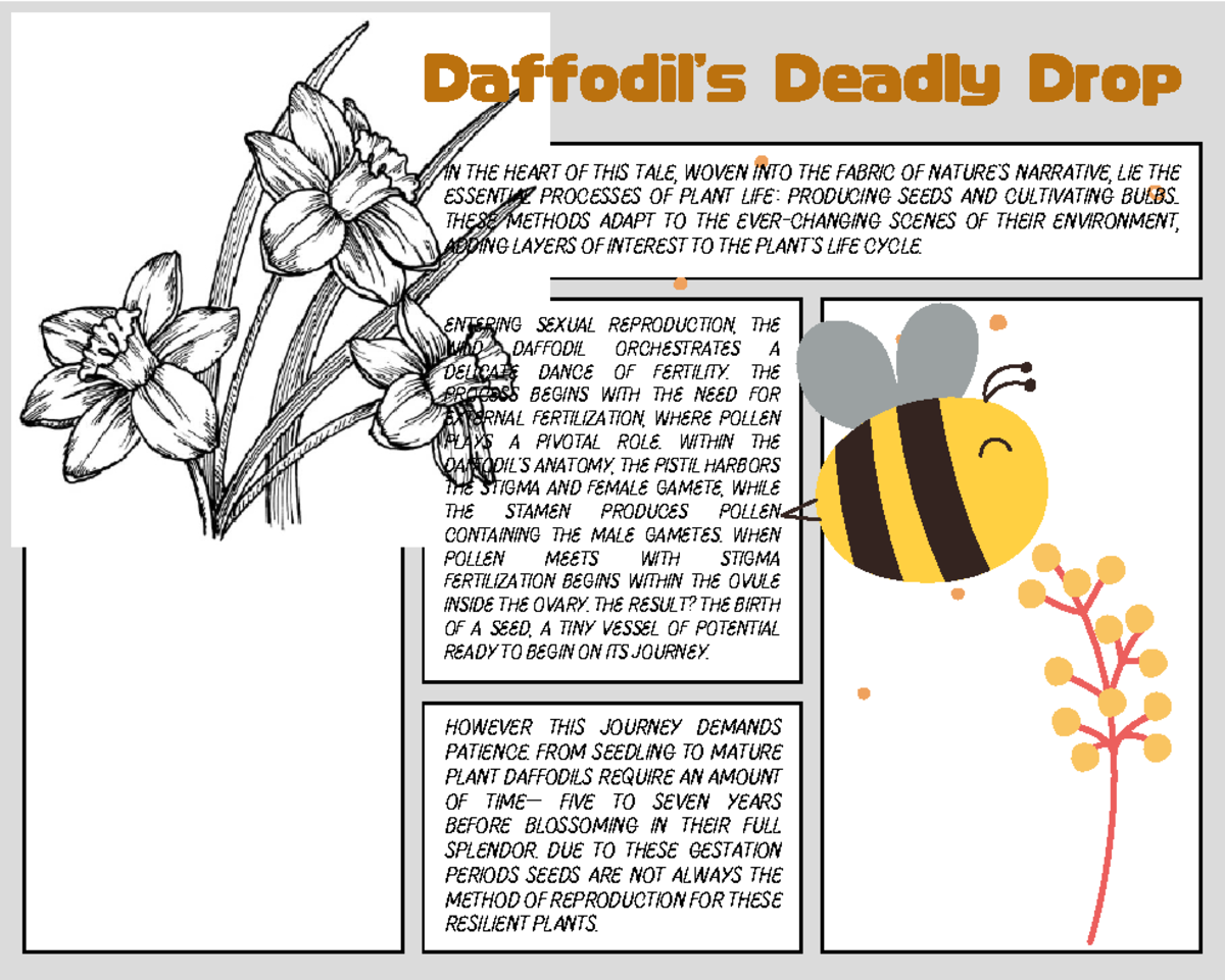 Daffodil's Deadly Drop - entering sexual reproduction, the wild ...
