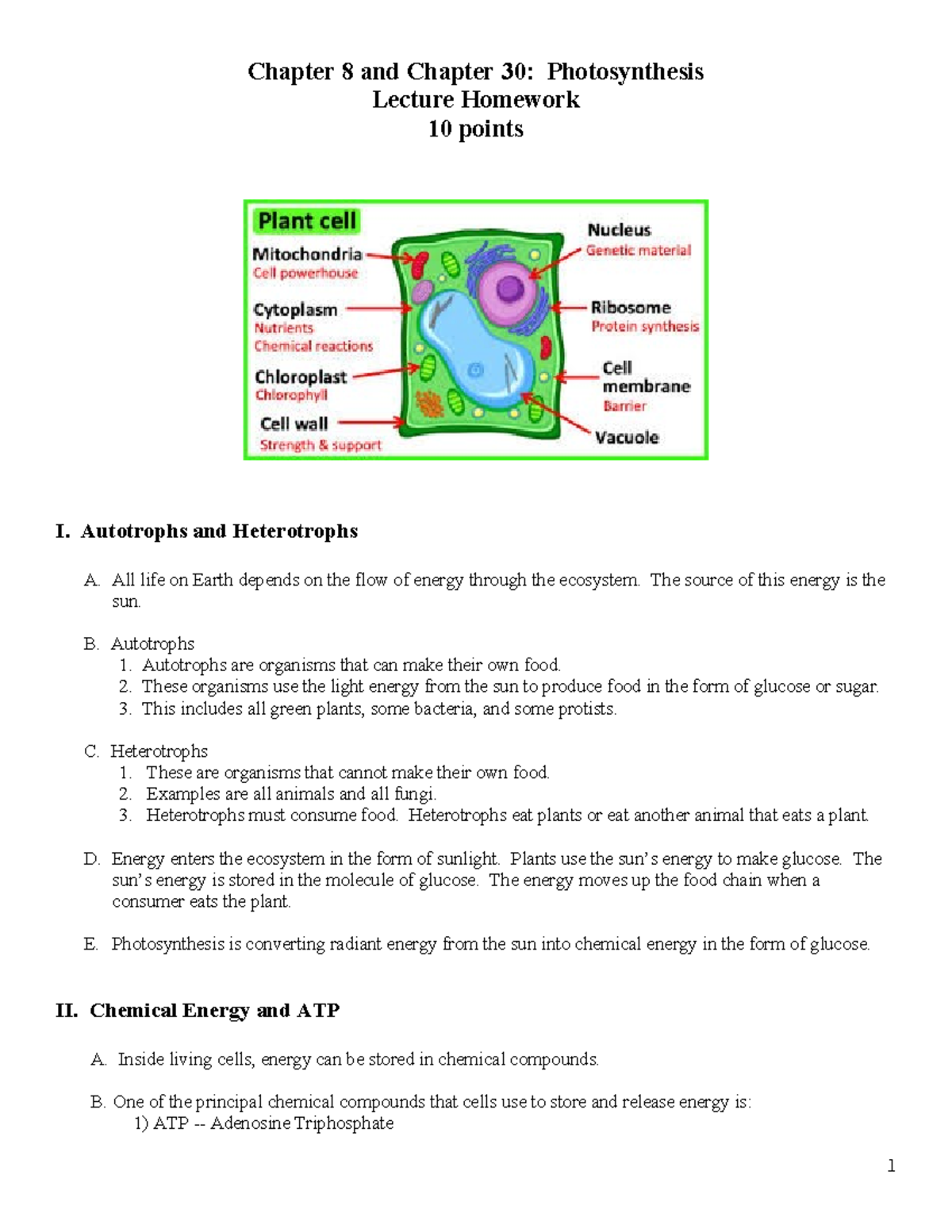 Photosynthesis Homework-1 - Chapter 8 and Chapter 30: Photosynthesis ...