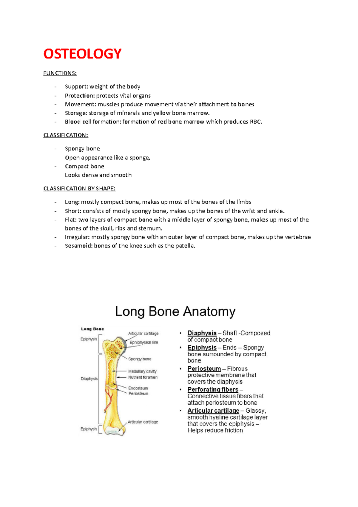 Concepts in human anatomy - OSTEOLOGY FUNCTIONS: Support: weight of the ...