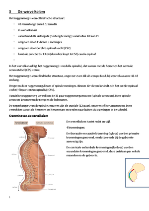 ZSO 3 het spijsverteringsstelsel lever, gal en pancreas - ZSO 3: Lever ...