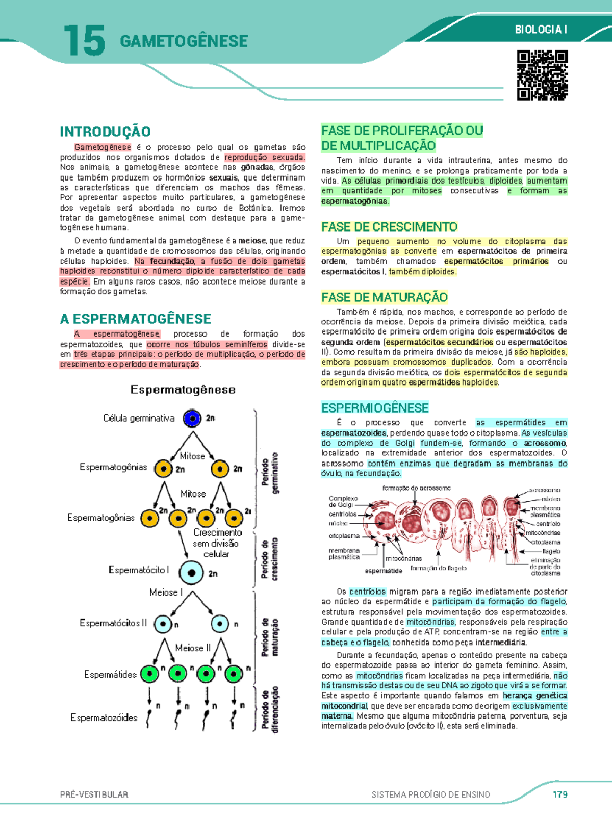 Gametogênese - this is just an example. - BIOLOGIA I 15 GAMETOGÊNESE ...