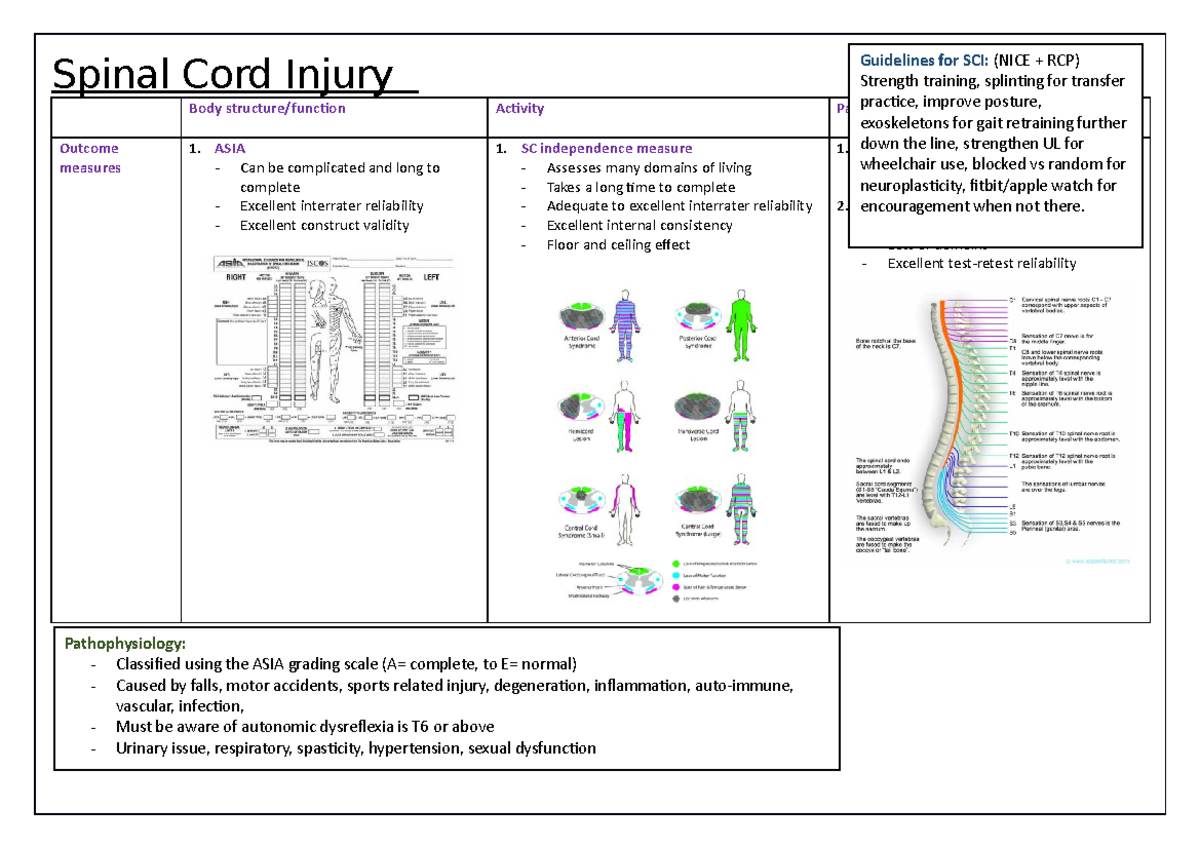 Condition Sheets - Spinal Cord Injury Body structure/function Activity ...